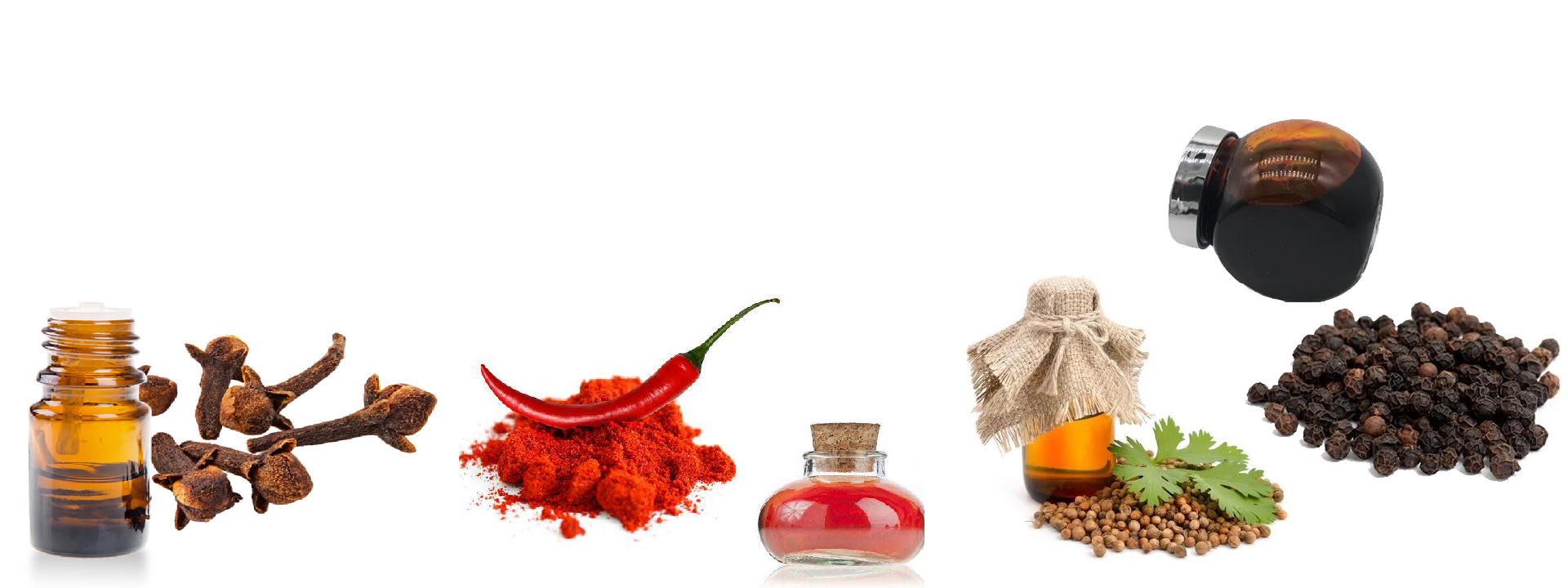 CSV Pharmaceuticals India Pvt. Ltd.